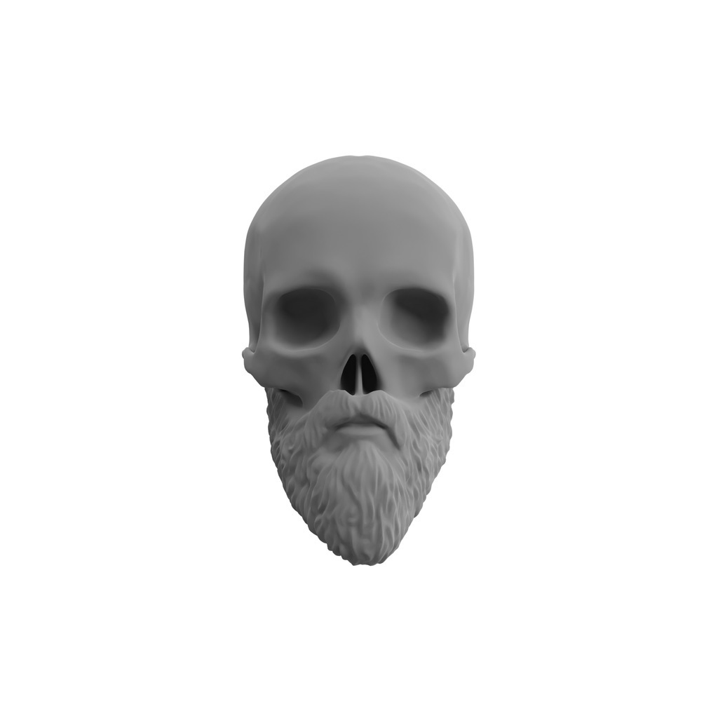 Archivo 3D gratis Calavera con barba 🗿・Modelo para descargar y imprimir ...