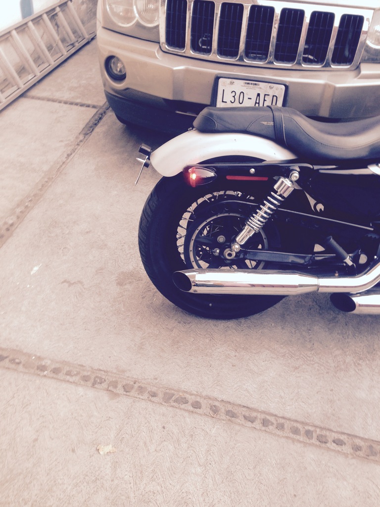 Free 3D file Sportster License Plate bracket 🏍️ ・3D printable design to ...