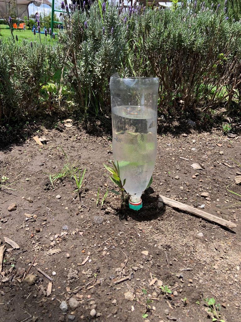 💧 EcoDrip - Drip irrigation device・Free 3D File for ・Cults