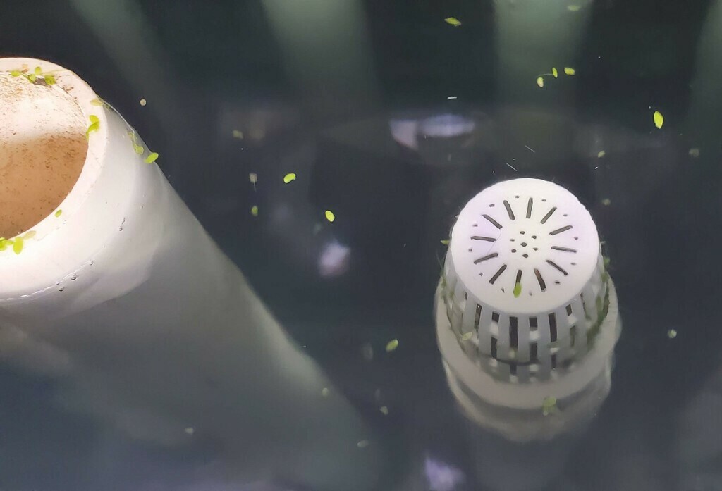 🧢 1 1/2" Overflow Cap・Free 3D File for ・Cults