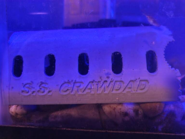 Free 3D file fish hide wreck 🐠 ・3D print model to download・Cults