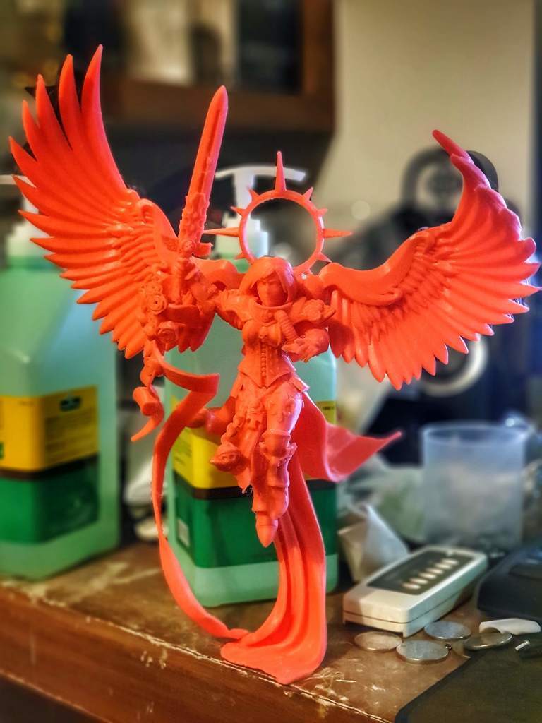 3D printed Undying Saint with wings・Cults