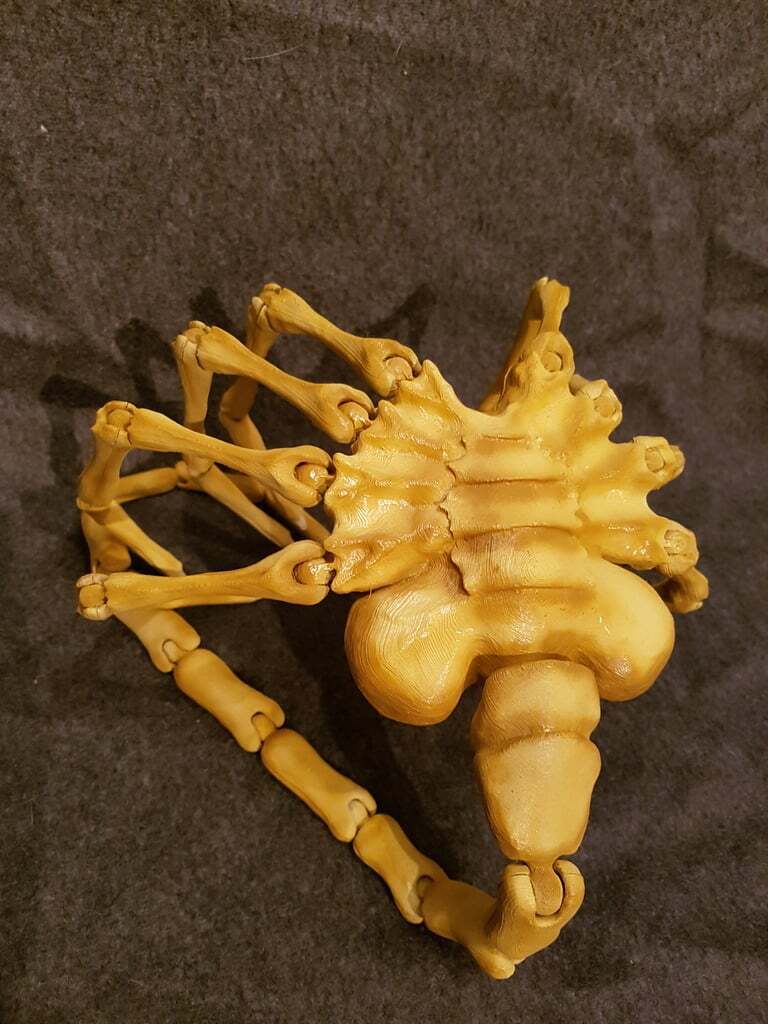 3D printing Agisis Ultimate Alien Face Hugger (40in x 23in - LIFE SIZE ...