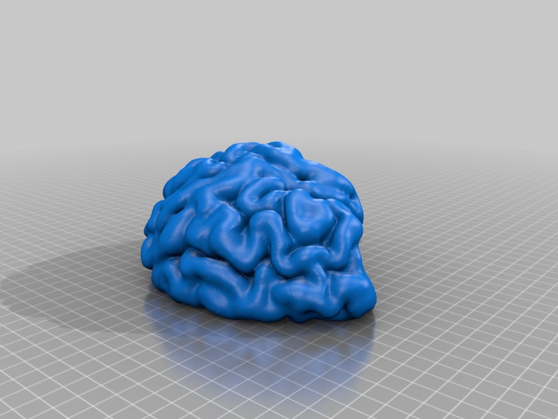 🧠 Human Brain - Converted MRI Scan of Real Human Brain・Free 3D File for ...