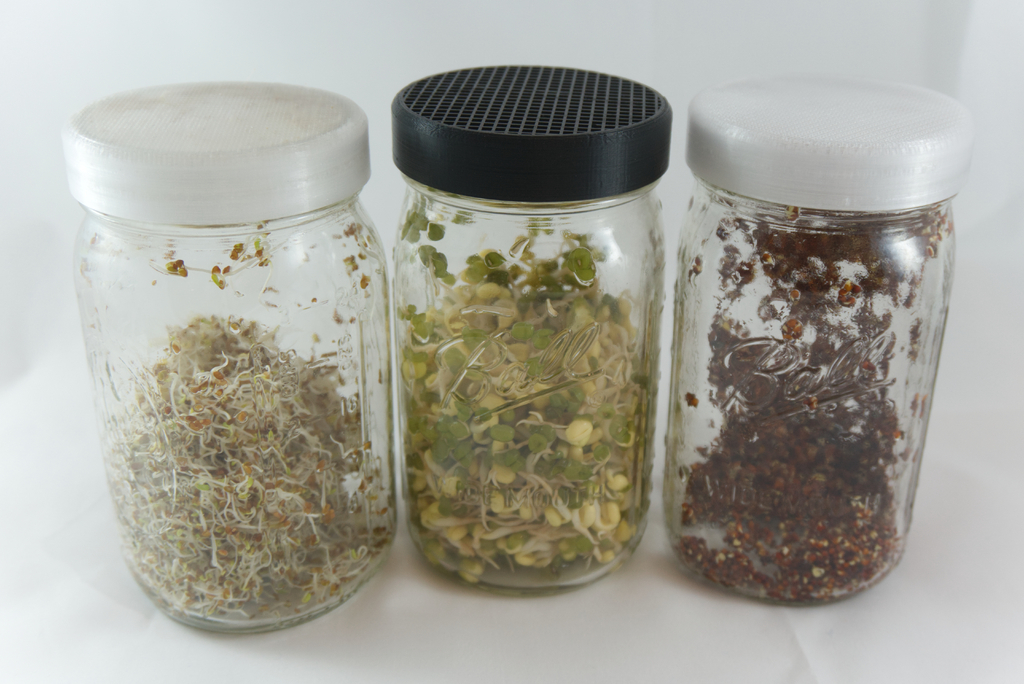 🫙 Sprout Growing Mason Jar Strainer・Free 3D File for ・Cults