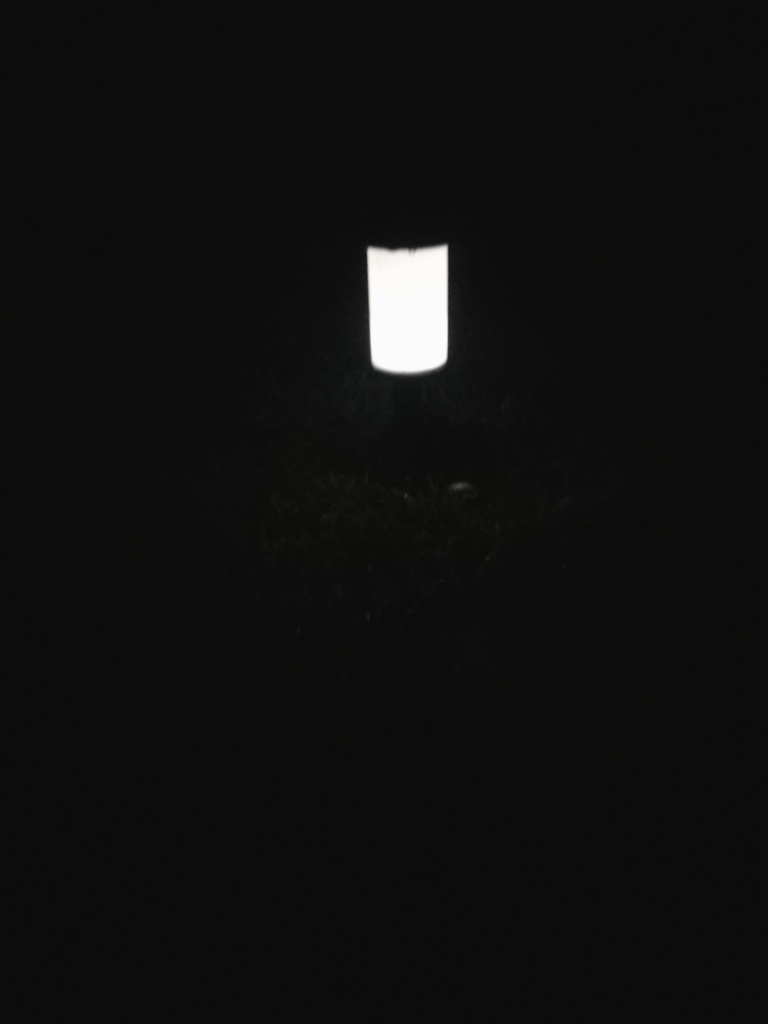 🪞 Pathway Light・Free 3D File for ・Cults