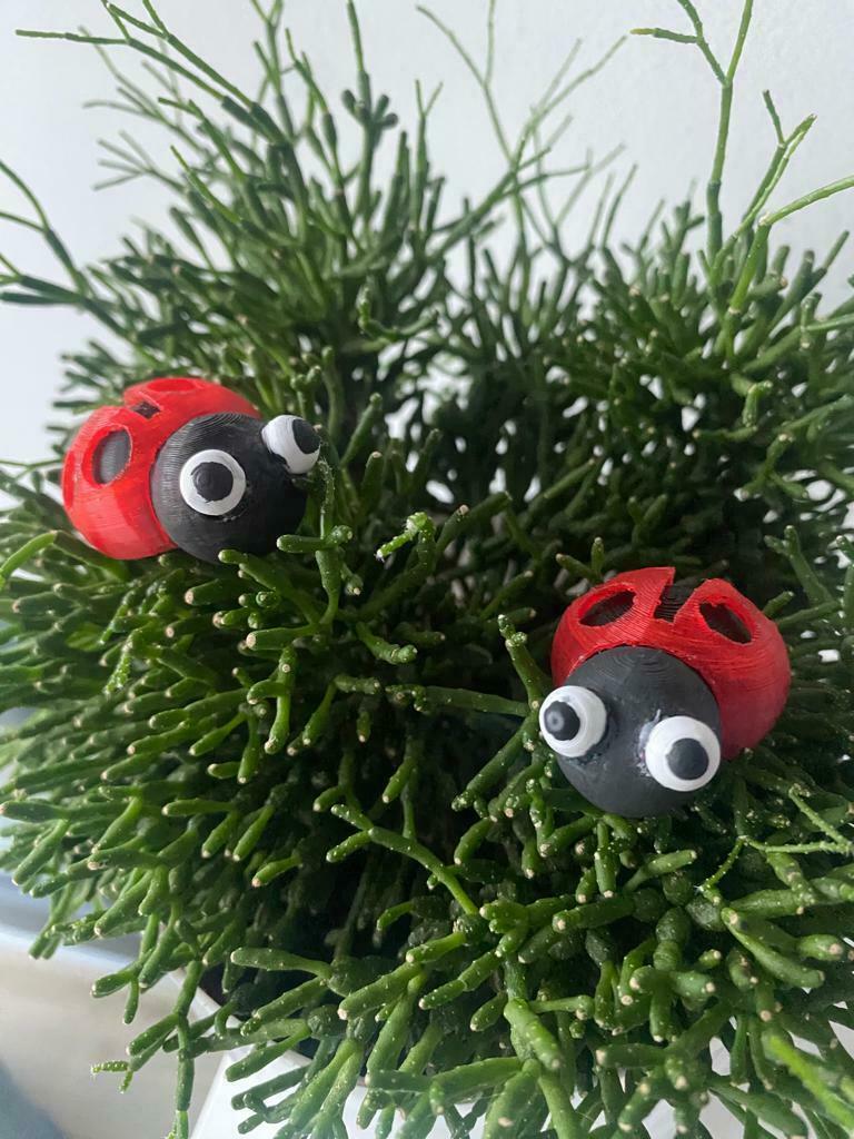 Free 3D file Ladybug 🐞 ・Object to download and to 3D print・Cults