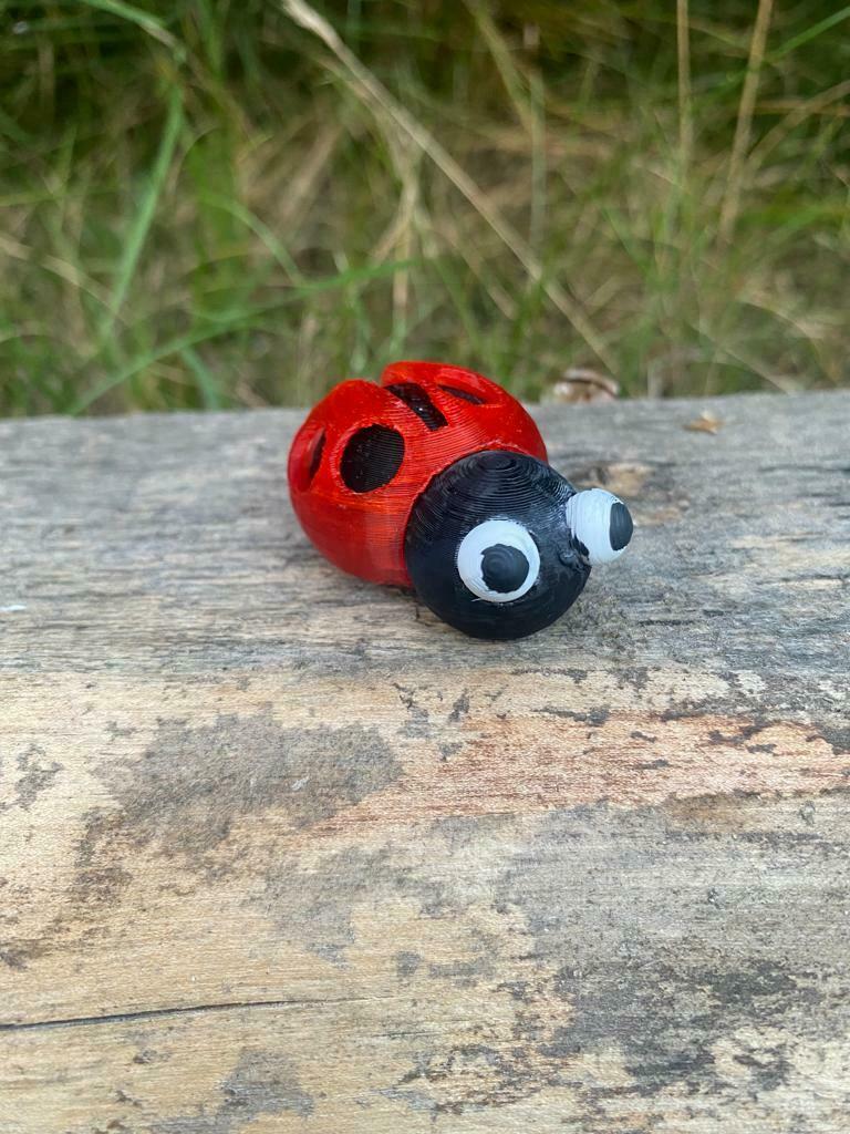 Free 3D file Ladybug 🐞 ・Object to download and to 3D print・Cults