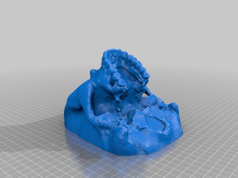 💀 Cyclops skull・Free 3D File for ・Cults