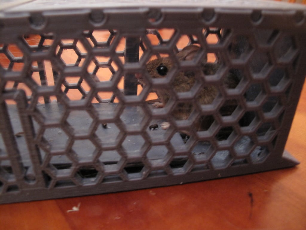 3D print Friendly mousetrap, fully printable・Cults