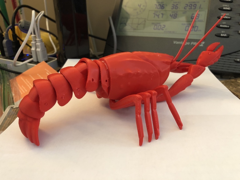 3D printable Articulated Crayfish・Cults