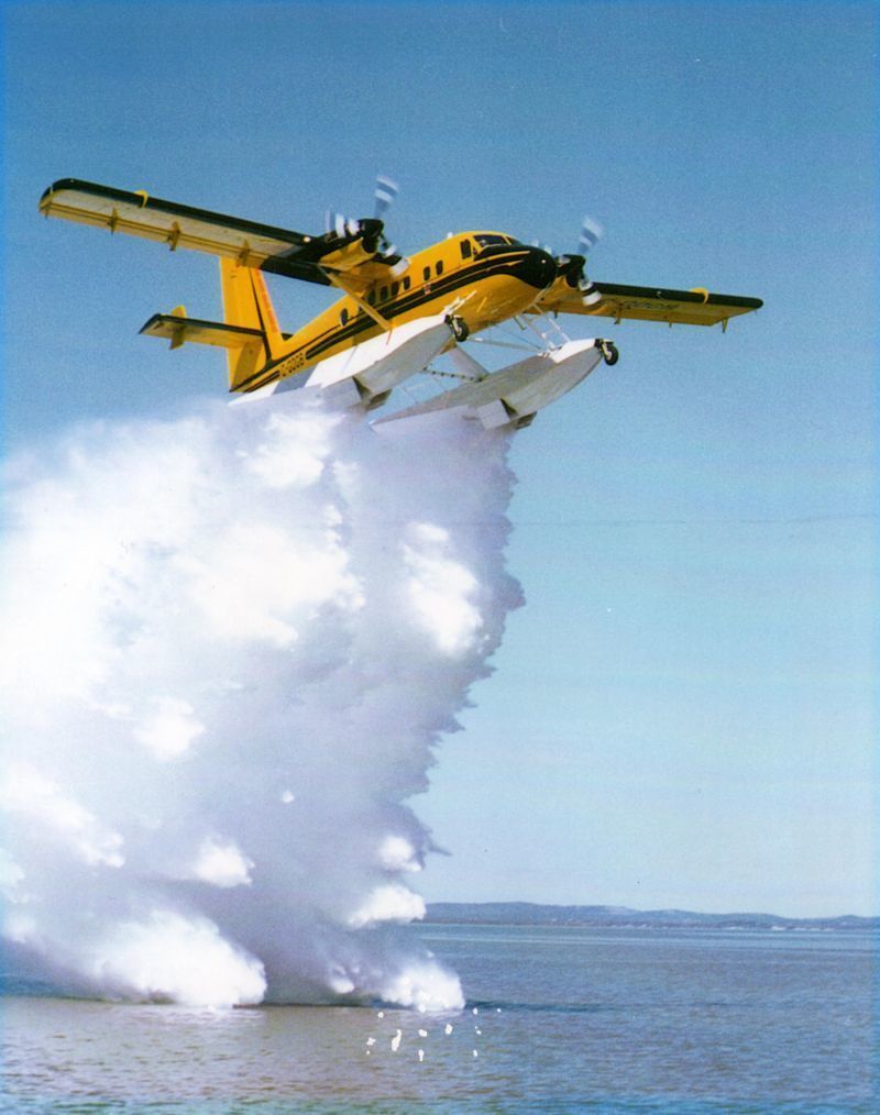 🦦 DH6 Twin Otter・Free 3D File for ・Cults