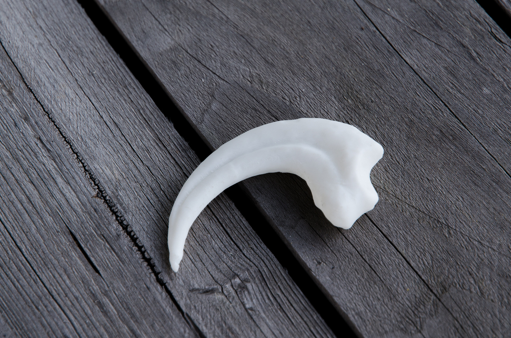 3D print Velociraptor dinosaur claw・Cults
