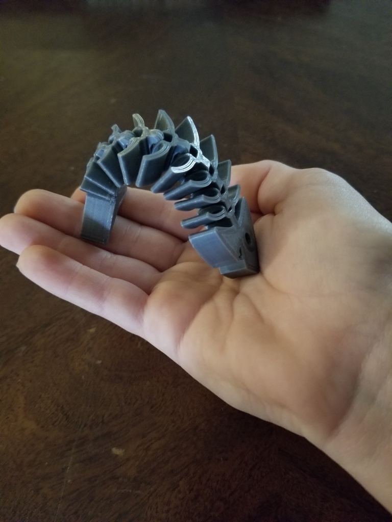 Free 3D file Flexi-fish (smaller) 👹 ・3D print model to download・Cults