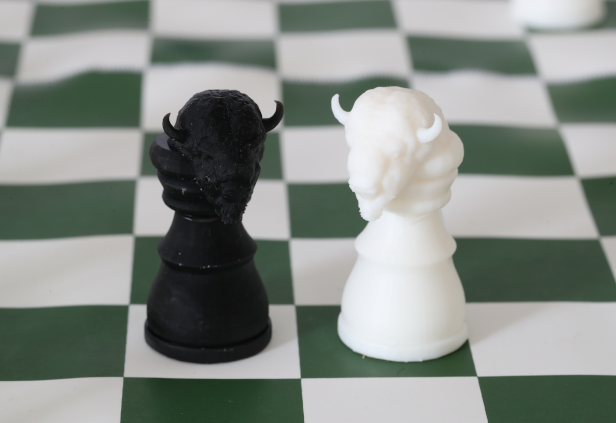 3D printed Chess Buffalo・Cults