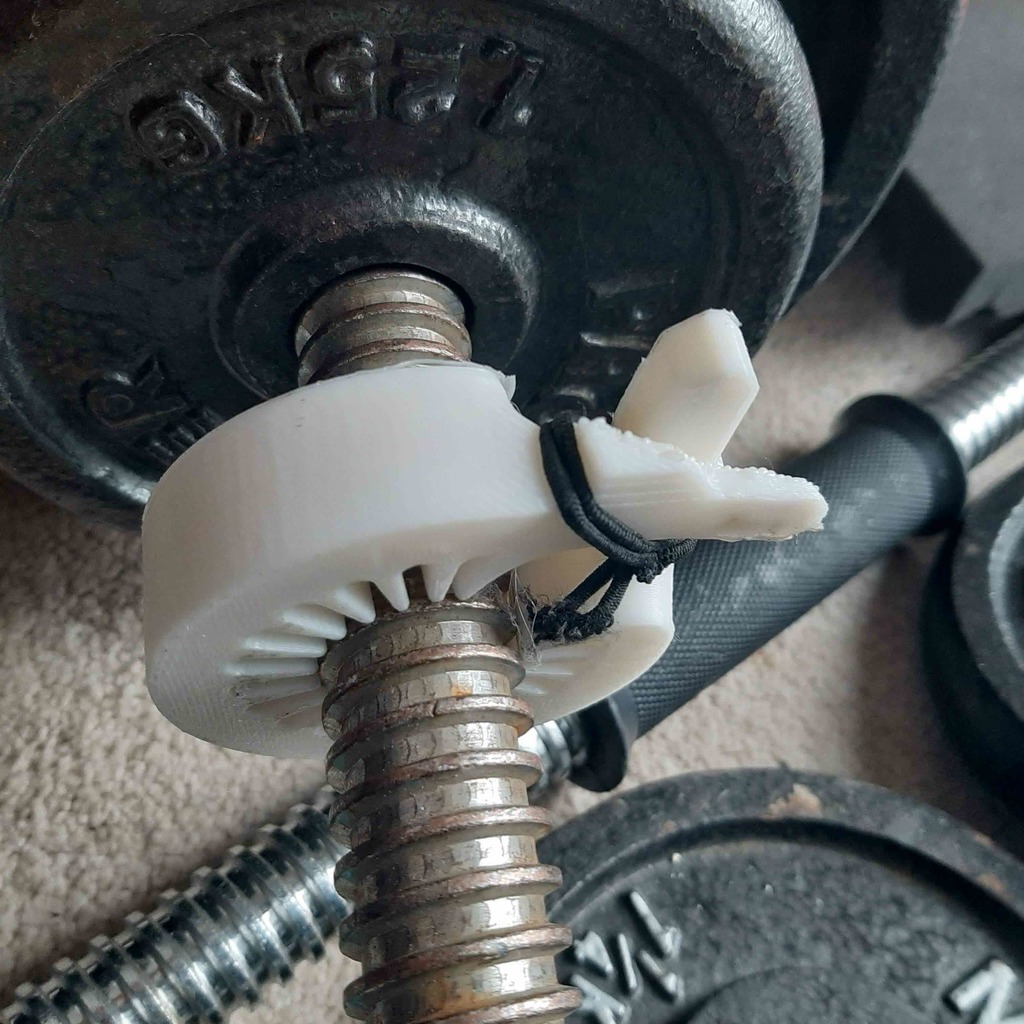 🏋️ 1 inch barbell flexi quick clips・Free 3D File for ・Cults