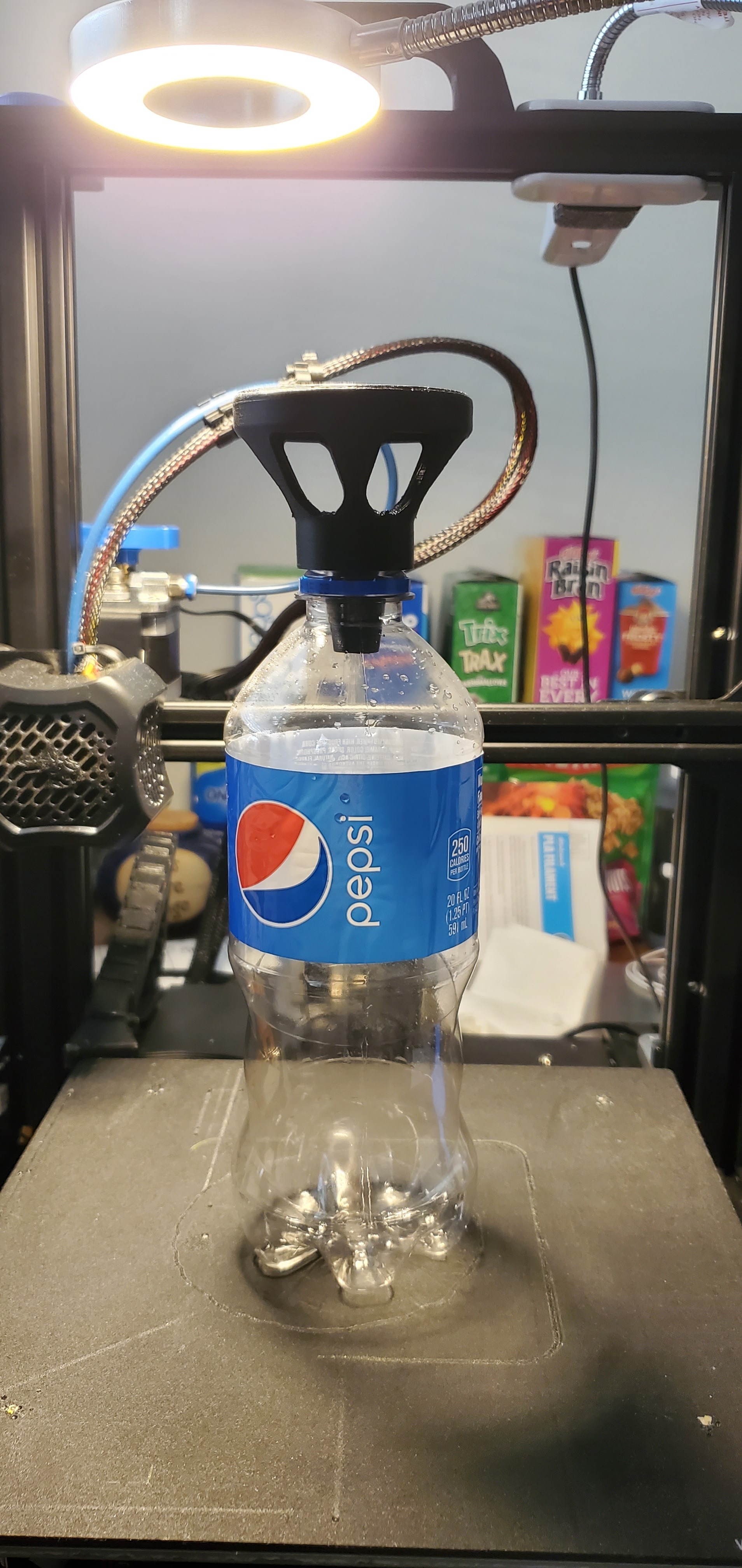 🪰 Reusable ECO FLY and WASP Trap - Version 2・3D Print・Cults