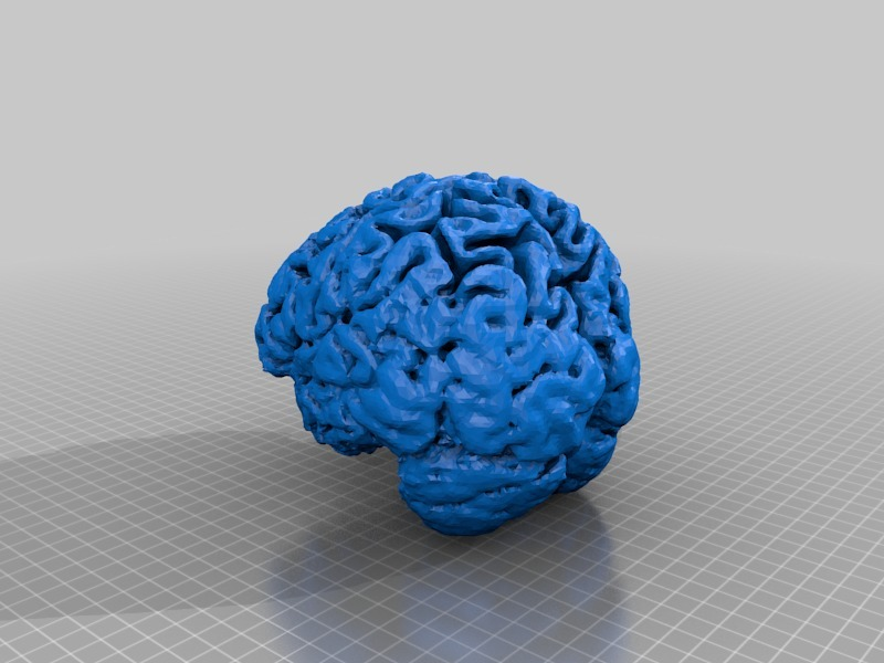 🧠 My brain; scanned from an MRI・Free 3D File for ・Cults