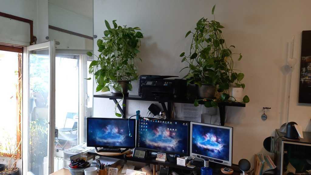 Archivo 3D gratis SOPORTE PLANTA (25'5-65cm) POTUS MODULAR ROBUSTO 🌿 ...