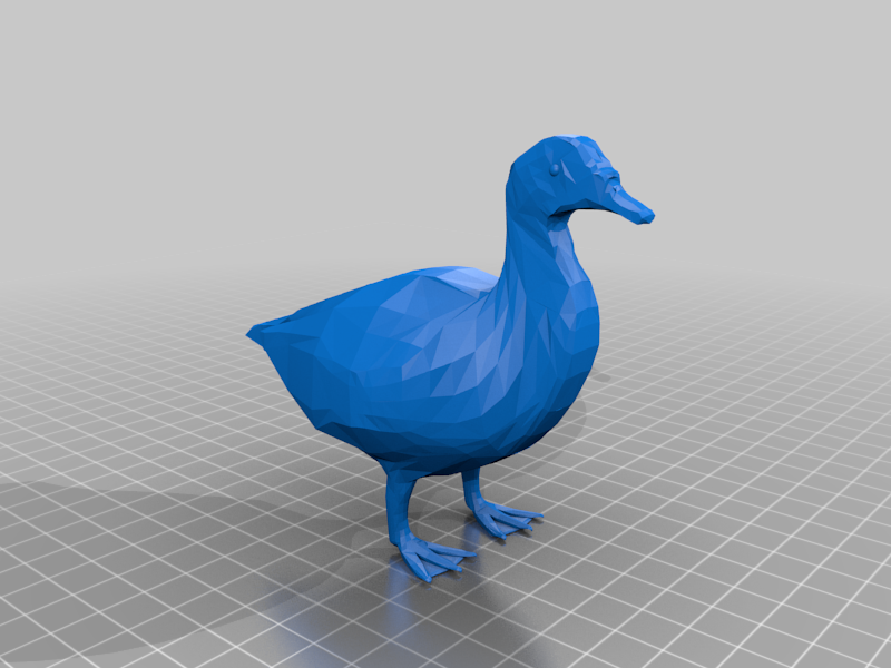 Free 3D file Muscovy duck 🦆 ・3D printing model to download・Cults