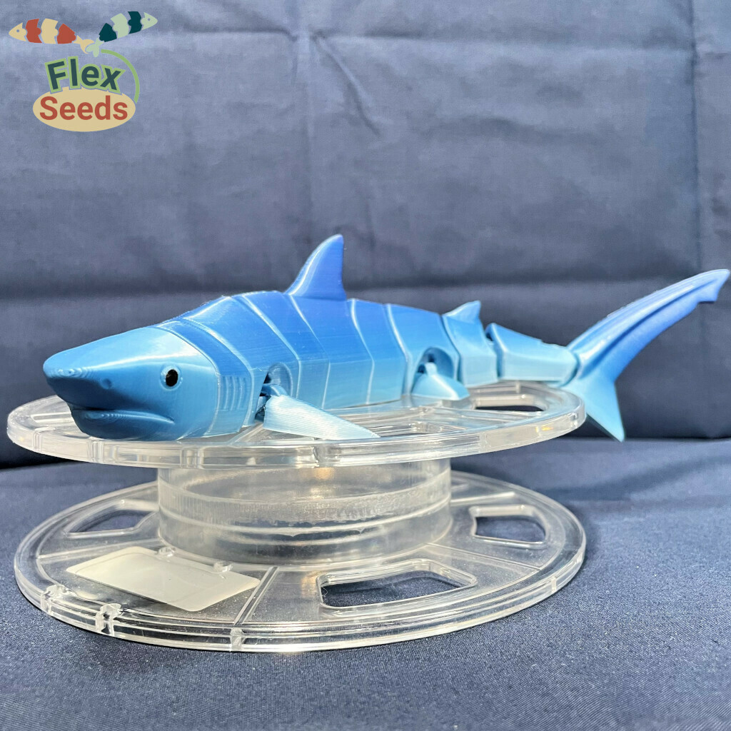 🐅 Flexi Tiger Shark (print-in-place)・Free STL File for 3D printing・Cults