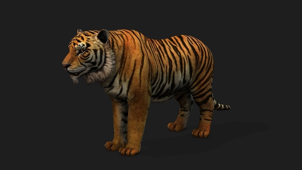 🐅 Tiger・Free 3D File for ・Cults