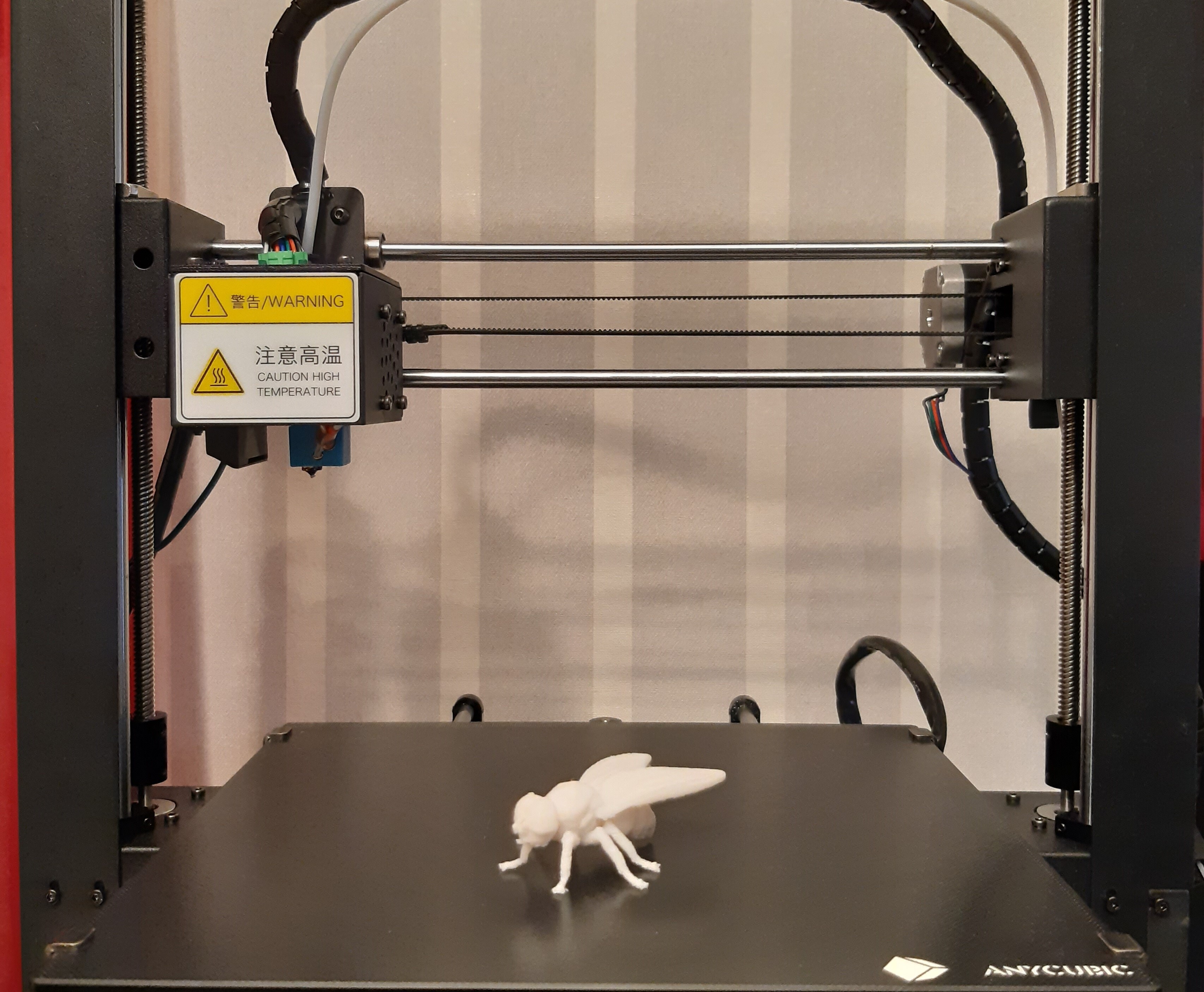 3D printed 蠅（Fly）3Dデータ・Cults