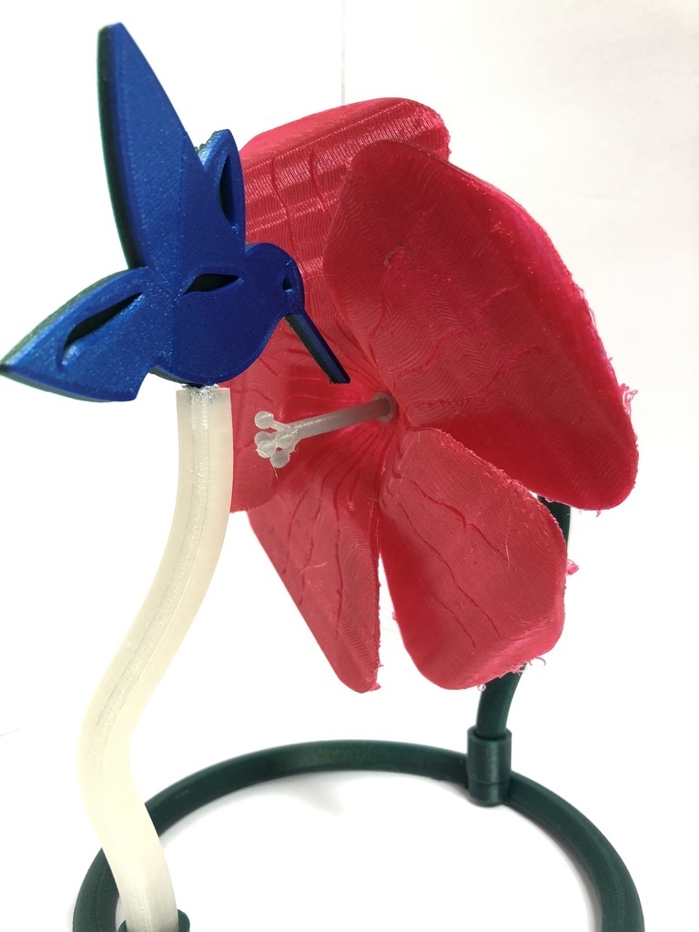 🌺 Hummingbird with Hibiscus・Free 3D File for ・Cults