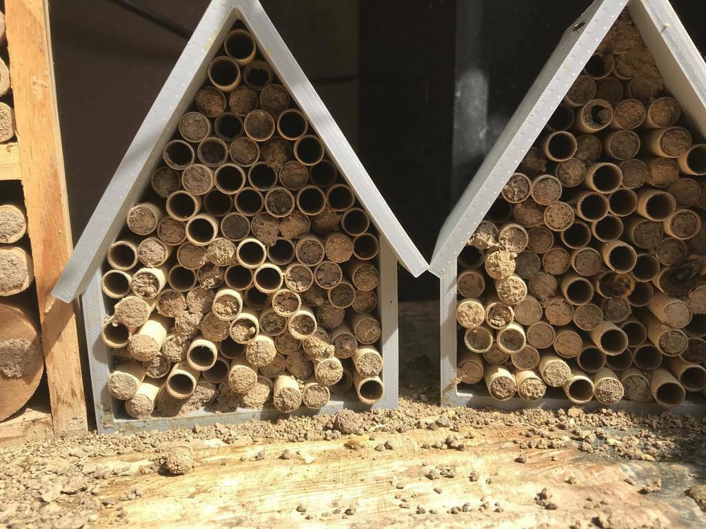 🐝 Bee-Hotel・Free 3D File for ・Cults