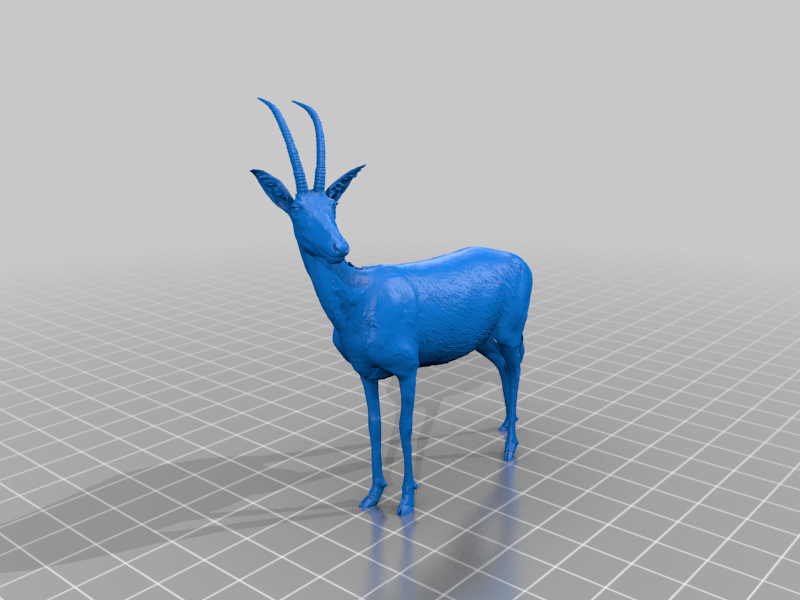 🖨️ Blue Antelope by Natural History Museum of Vienna・Free 3D File for ...