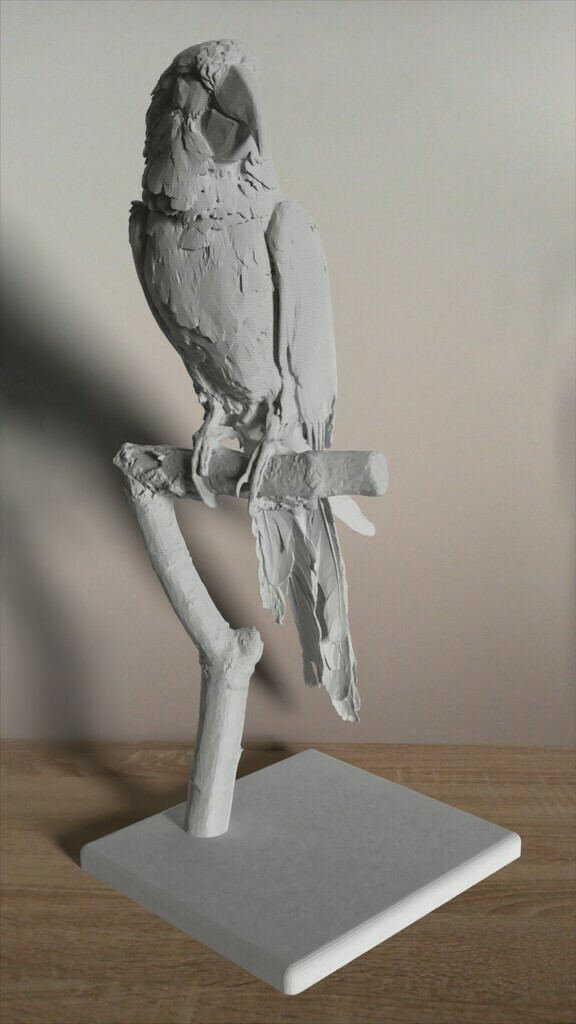 🦜 Parrot "Cuban Macaw" by Natural History Museum of Vienna・Free STL ...