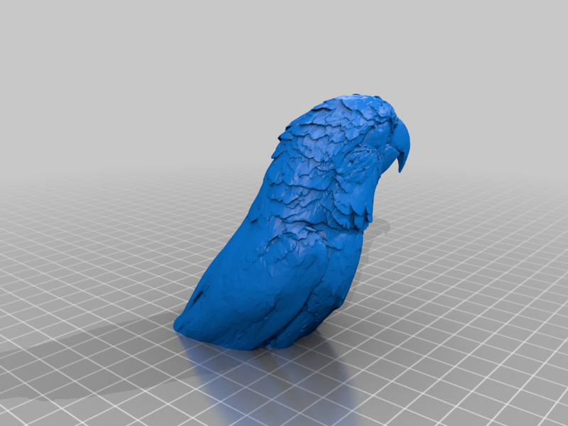 🦜 Parrot "Cuban Macaw" by Natural History Museum of Vienna・Free STL ...
