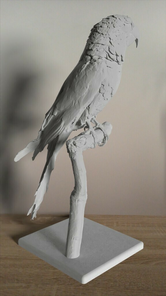 🦜 Parrot "Cuban Macaw" by Natural History Museum of Vienna・Free STL ...