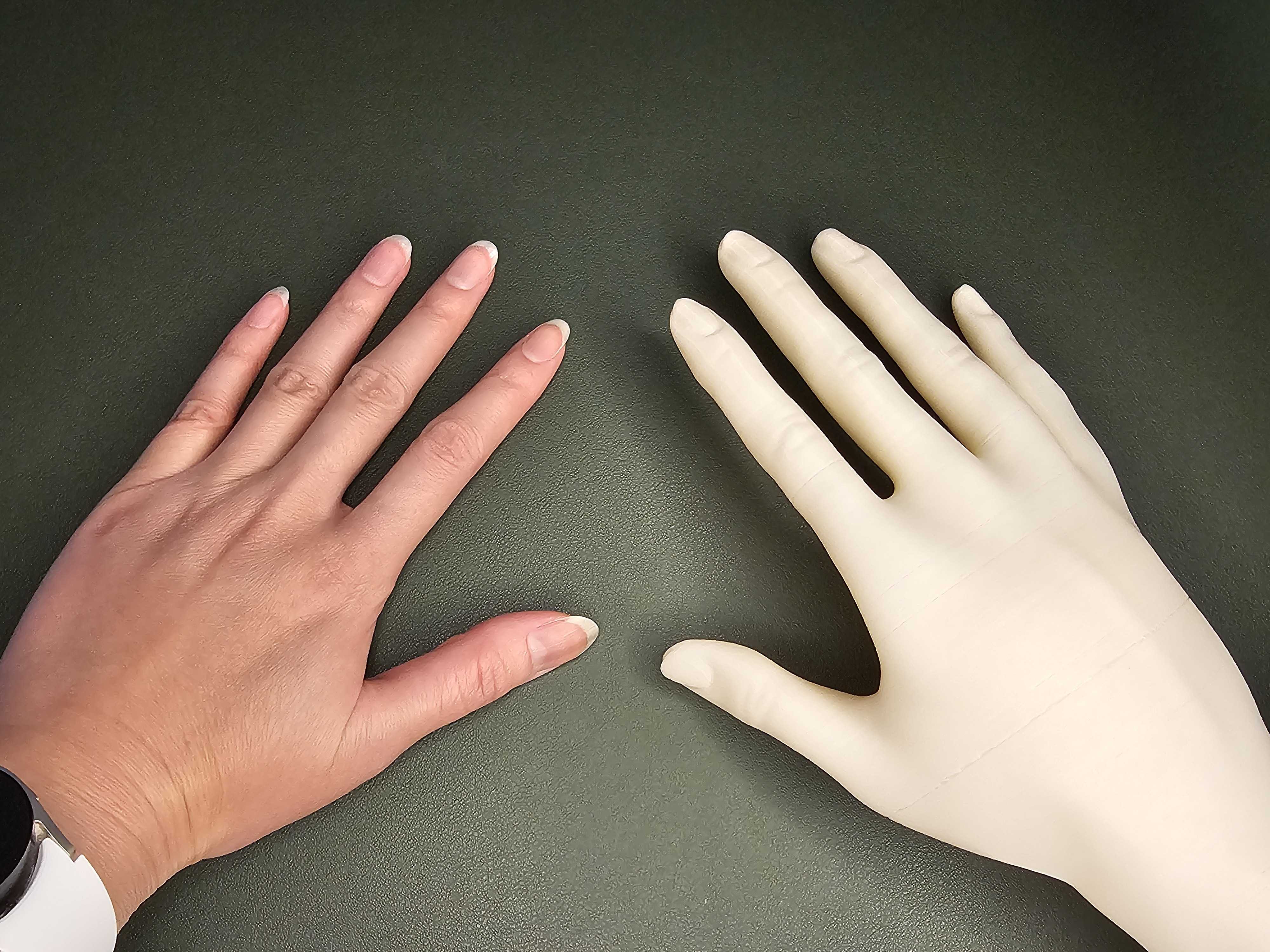 Hand model | Sculpted | Somewhat Realistic・ STL File for 3D printing・Cults