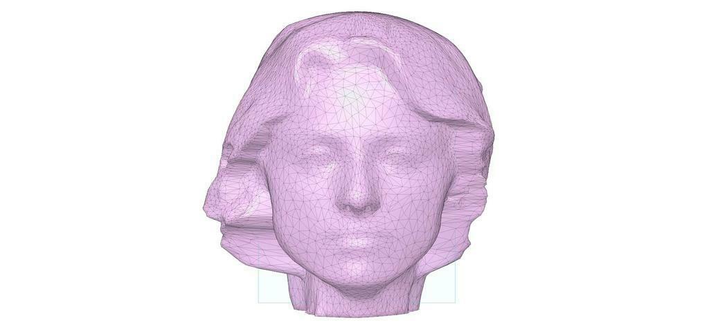 Free 3D file Scan of head 🩻・3D printer design to download・Cults