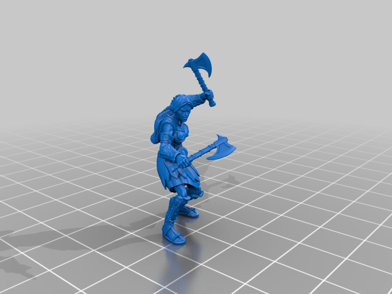 Free 3D file Heroscape: Amazon Heroes 🎲 ・Object to download and to 3D ...