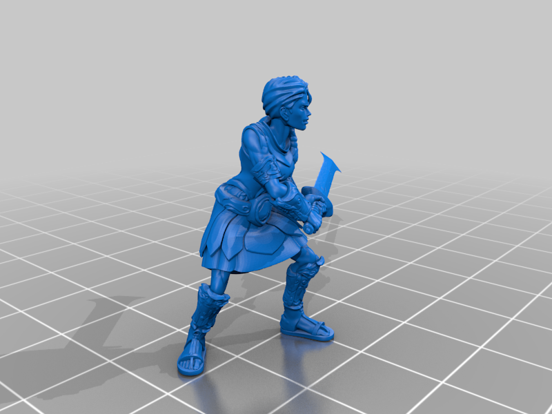 Free 3D file Heroscape: Amazon Heroes 🎲 ・Object to download and to 3D ...
