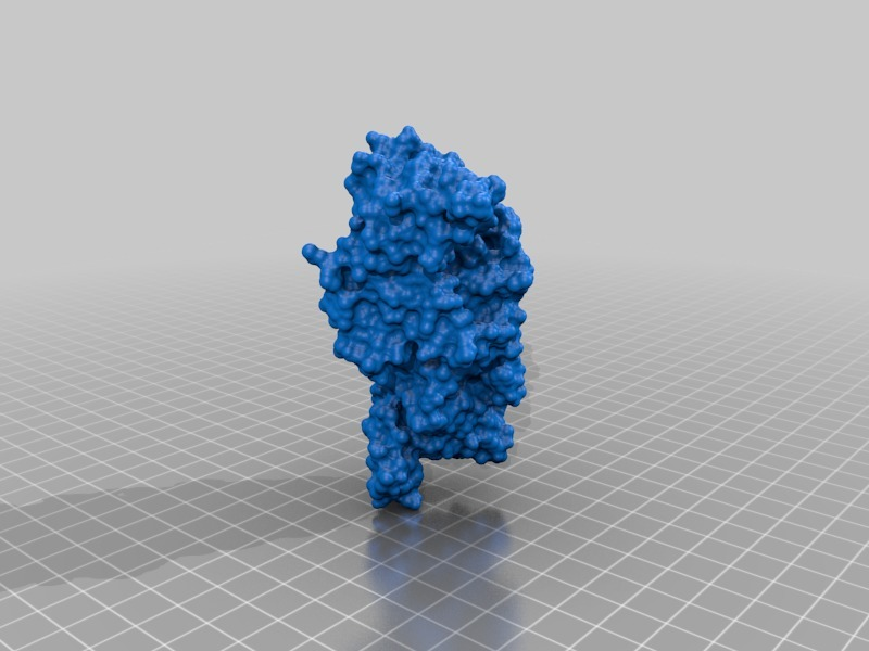 Free 3D file Structure of a bacterial ATP synthetase. PDB:ID 6N2Y 🎨 ...