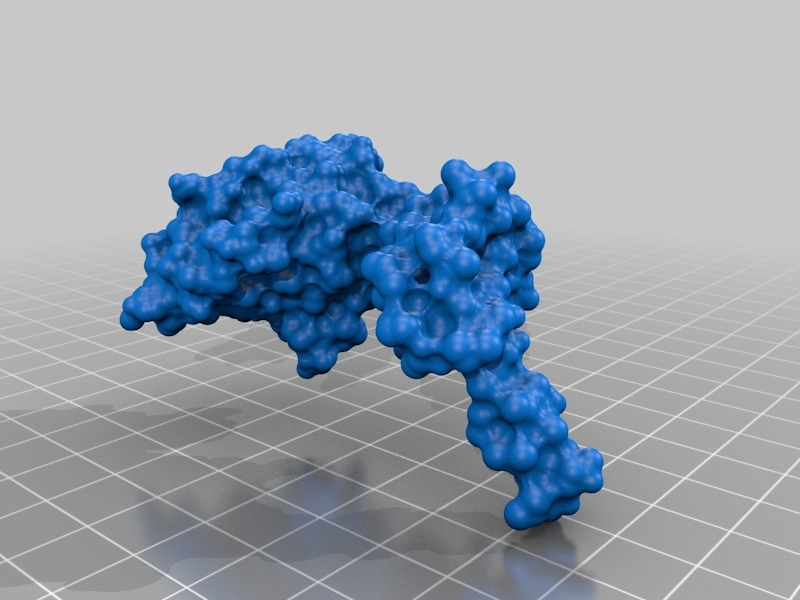 Free 3D file Structure of a bacterial ATP synthetase. PDB:ID 6N2Y 🎨 ...