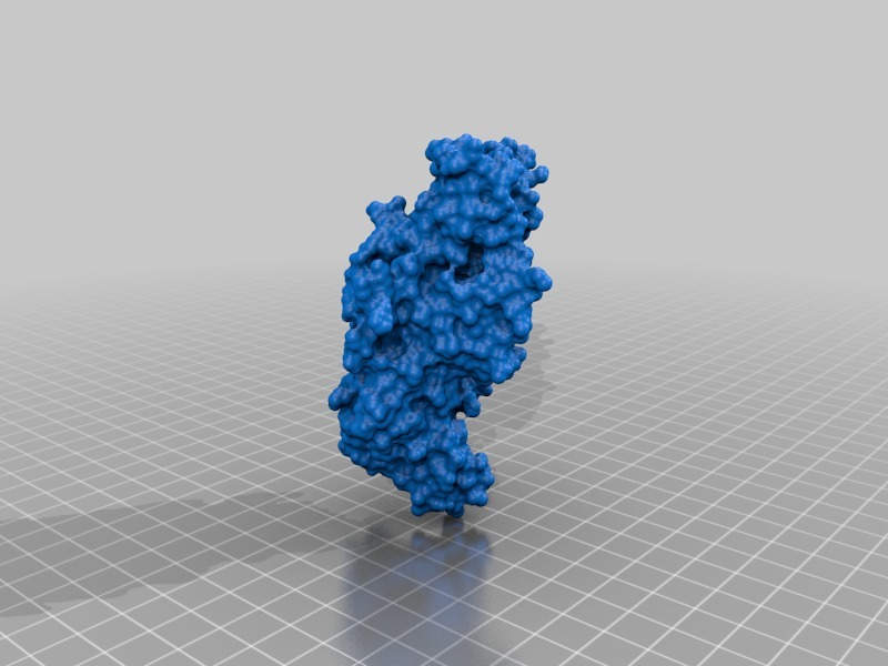 Free 3D file Structure of a bacterial ATP synthetase. PDB:ID 6N2Y 🎨 ...