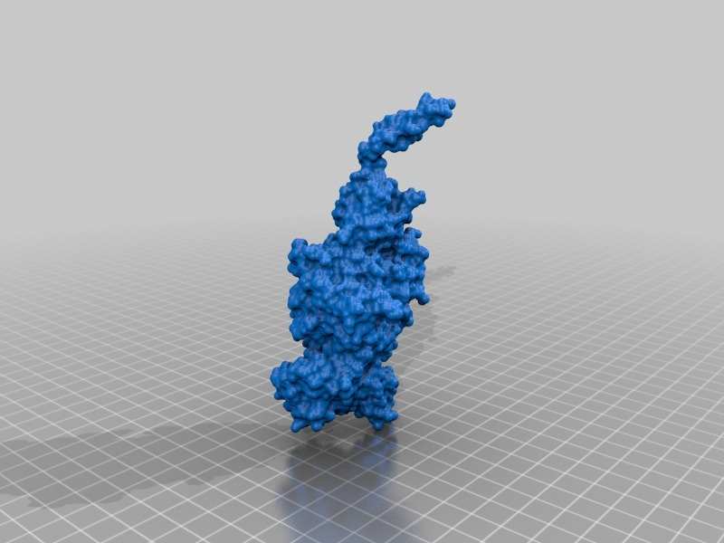 Free 3D file Structure of a bacterial ATP synthetase. PDB:ID 6N2Y 🎨 ...