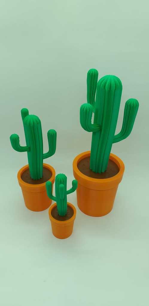 3D printable CACTUS・Cults