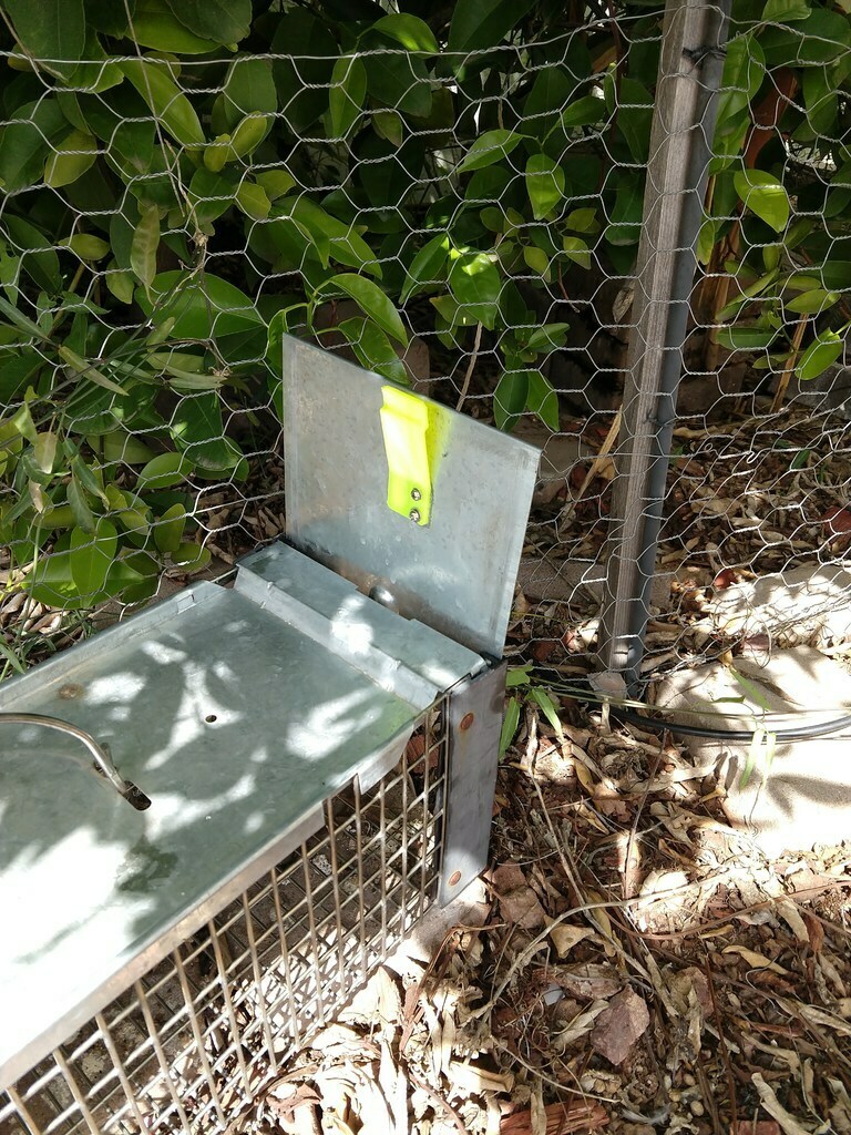 Free 3D file Trap Latch 🪤 ・3D printer model to download・Cults