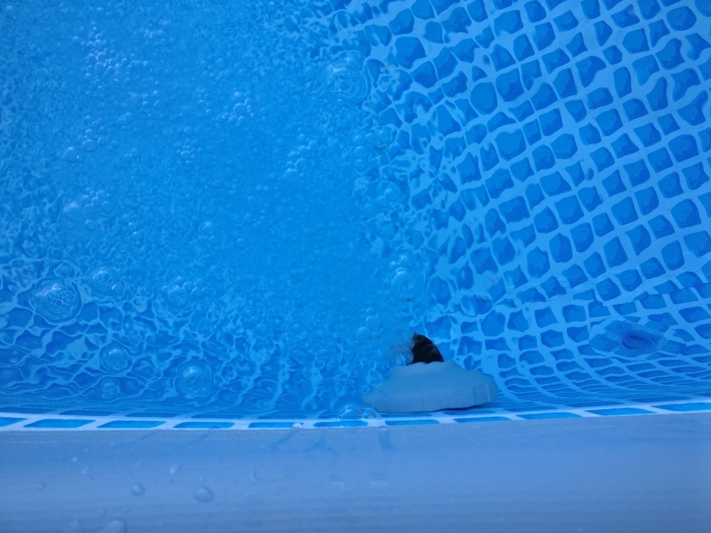 🚰 Intex angled water jet nozzle・Free 3D File for ・Cults