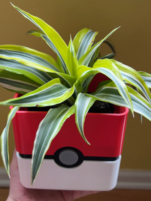 🐉 Pokemon Planter - Pokeball Minimal Planter・3D Print・Cults