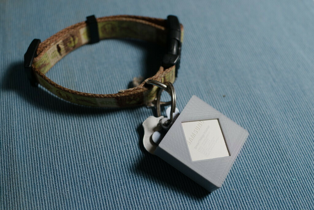 Free 3D file Samsung SmartThings GPS Tracker Dog Collar Keychain Mount ...