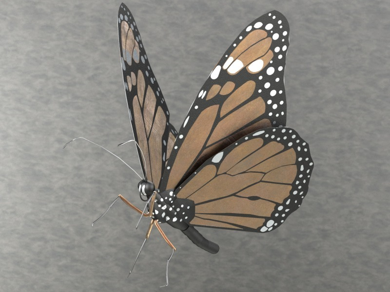 Fichier 3D gratuit Papillon monarque créé dans PARTsolutions 🐉 ・Modèle ...