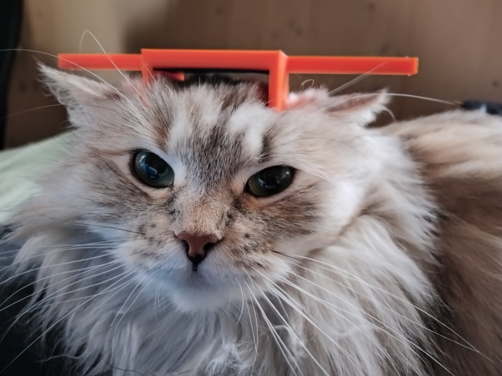 Free 3D file 45mm Saw Guide 🪚・3D print model to download・Cults