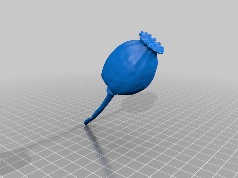 Free 3D file Poppy 🖨️ ・3D print design to download・Cults