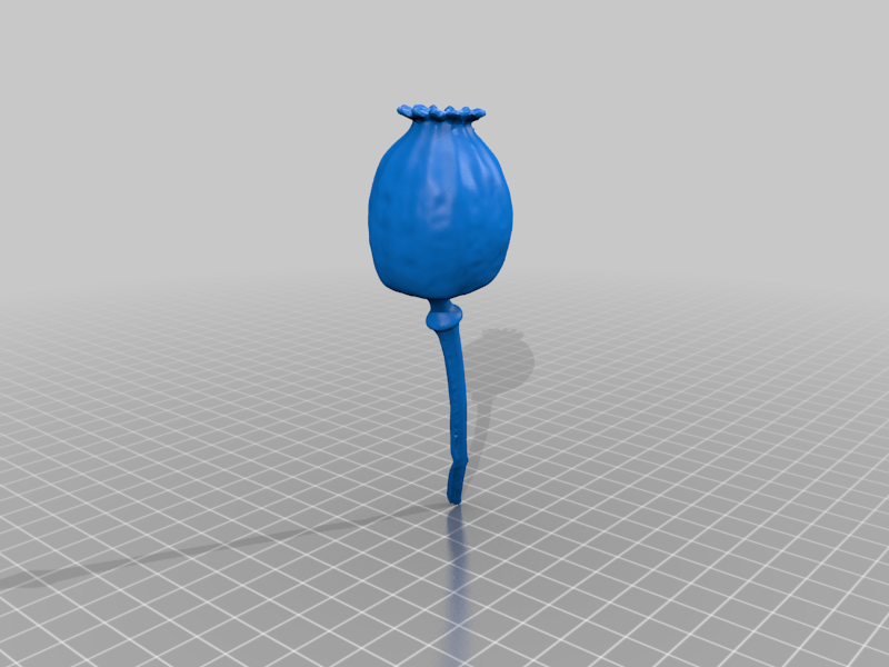 Free 3D file Poppy 🖨️ ・3D print design to download・Cults
